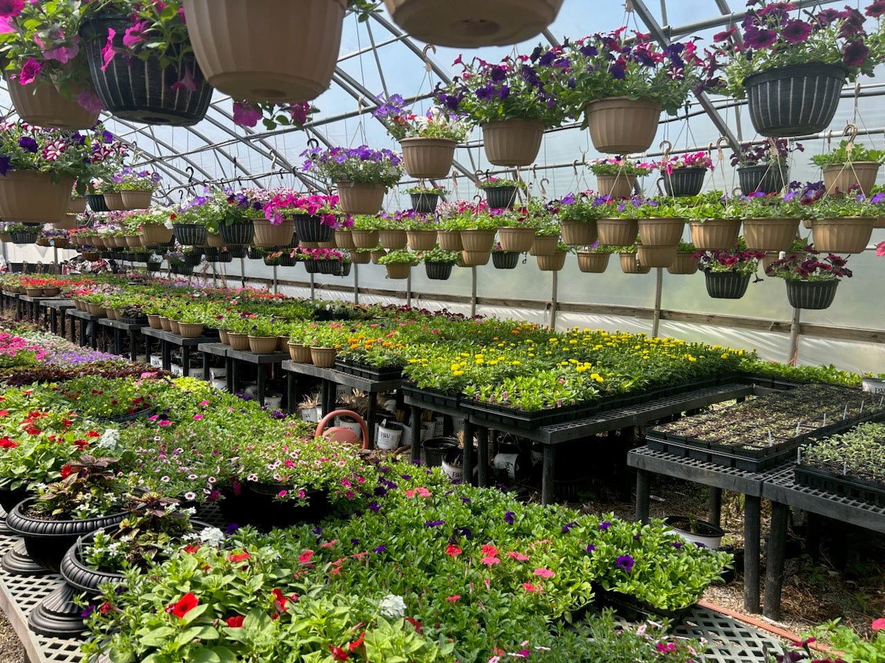 Nursery Stock & Landscape Design – Wolfe Nursery